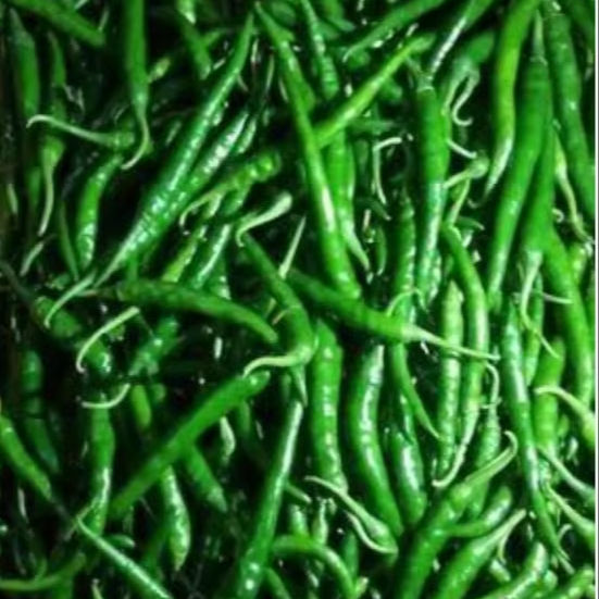 How to Choose the Best Green Chili for Cooking and Flavor