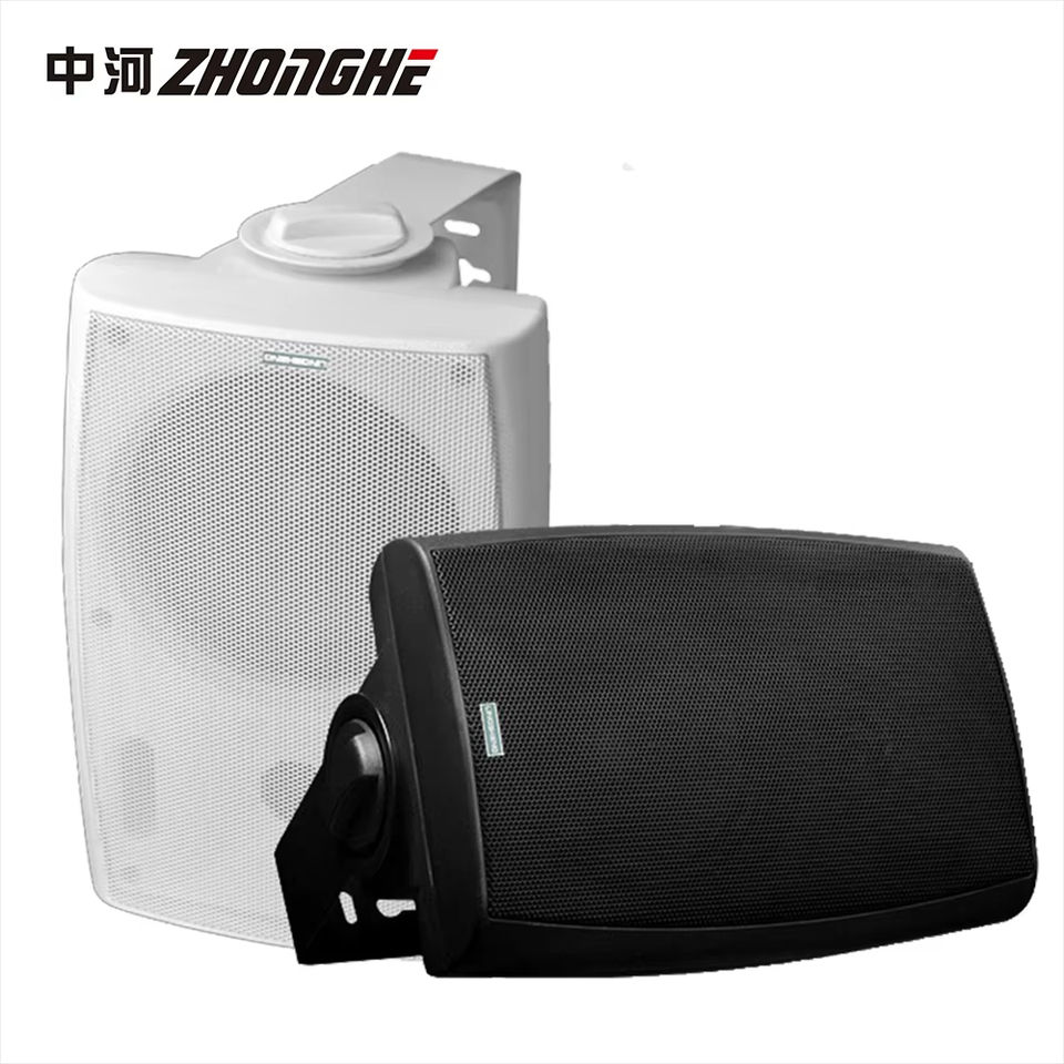 High Fidelity Custom Wall Mounted PA Speaker for Conference Room