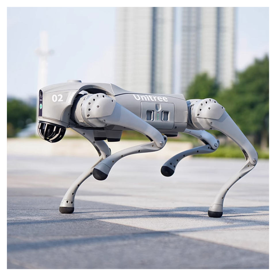 Unitree Go2 Pro - Intelligent Quadruped Robot for Adults