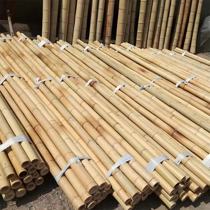 Vietnam Natural Bamboo Pole High Quality Strong Straight Bamboo Cane ...