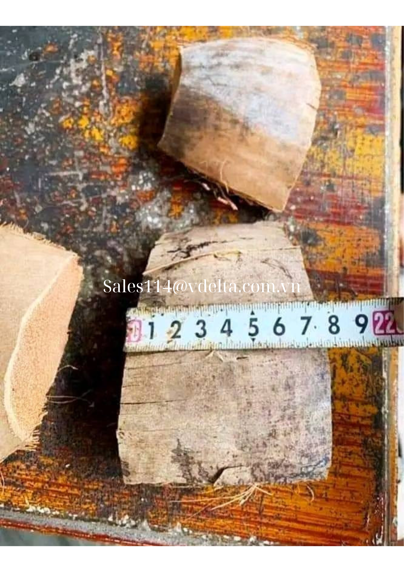 How to Choose the Best Coconut Tree Husk for Gardening and Landscaping