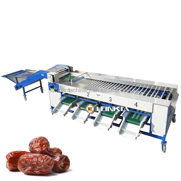 Stainless Steel Date Palm Fresh Fruit Washing and Drying Pitting Production Line Date Palm ...