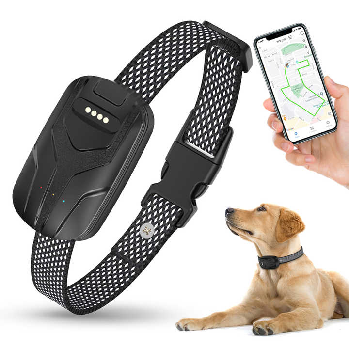 Long Distance Smart Pet Collar - Geo Fence Tracker Locator