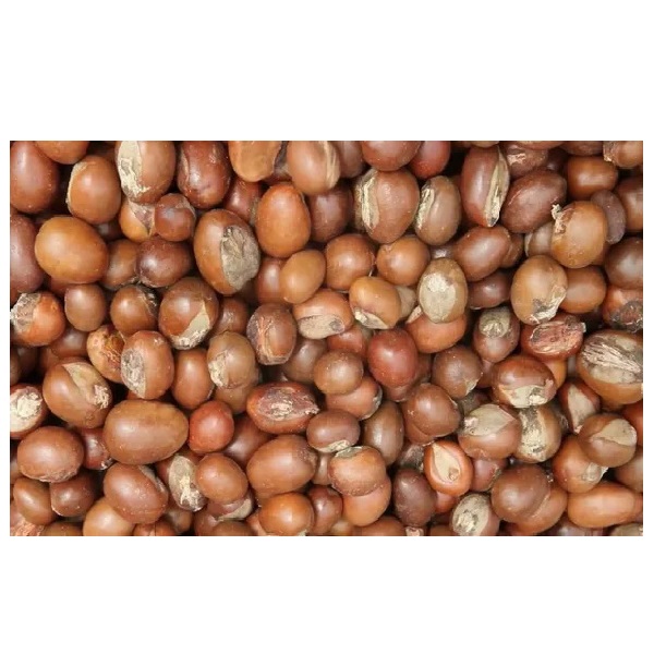 How to Choose the Best Shea Nuts: A Complete Buying Guide