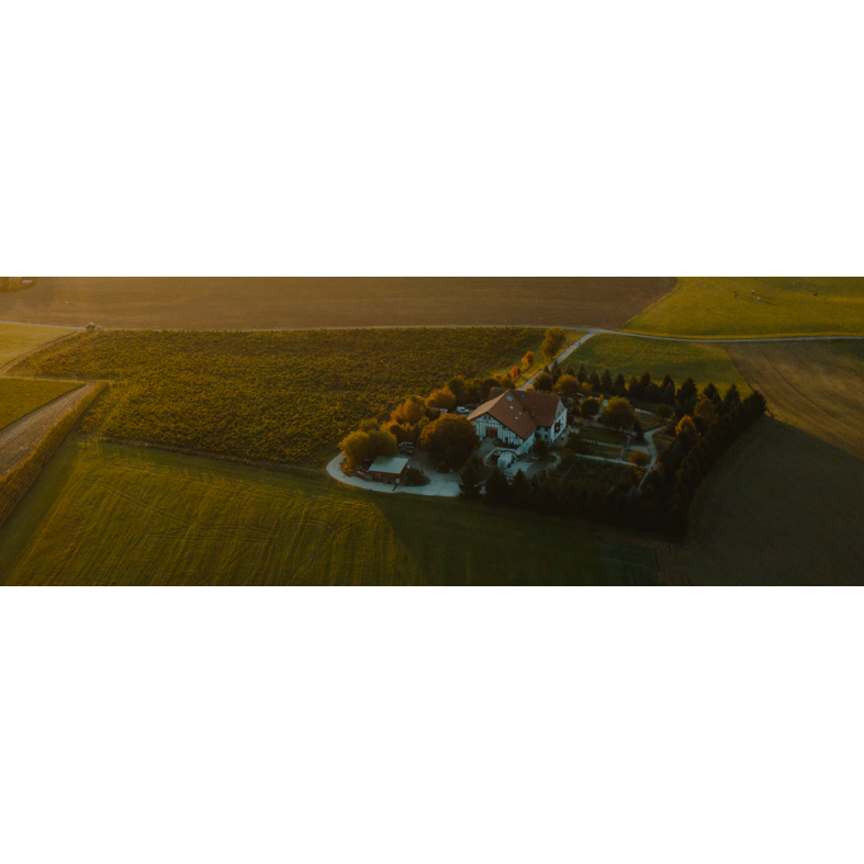 How to Choose the Best CBG Oil: A Complete Buying Guide