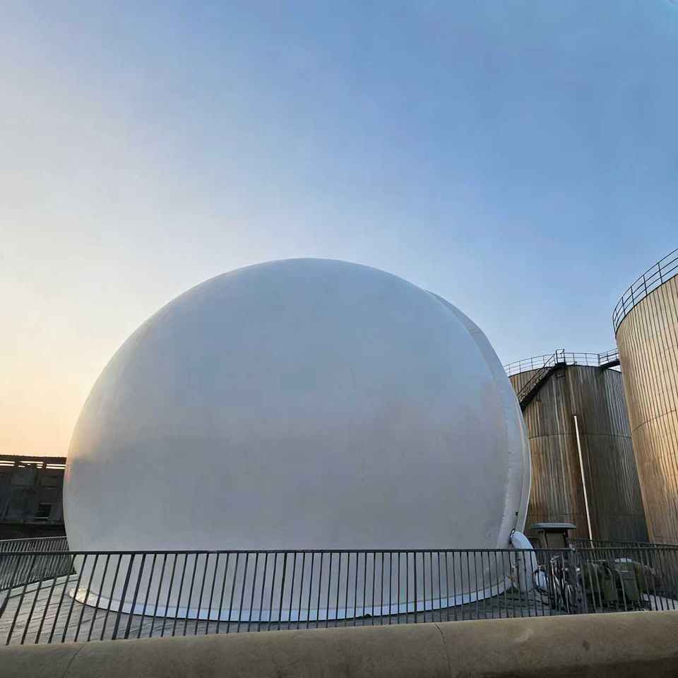 Biological Wastewater Treatment Digester Biodigestor Efficient Biogas ...