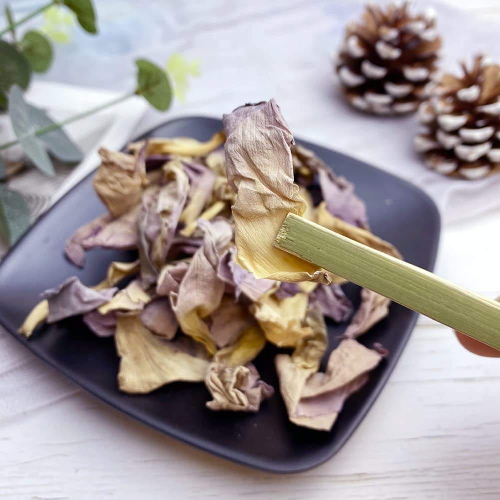 How to Choose the Best Pink Lotus Flower Prices Guide