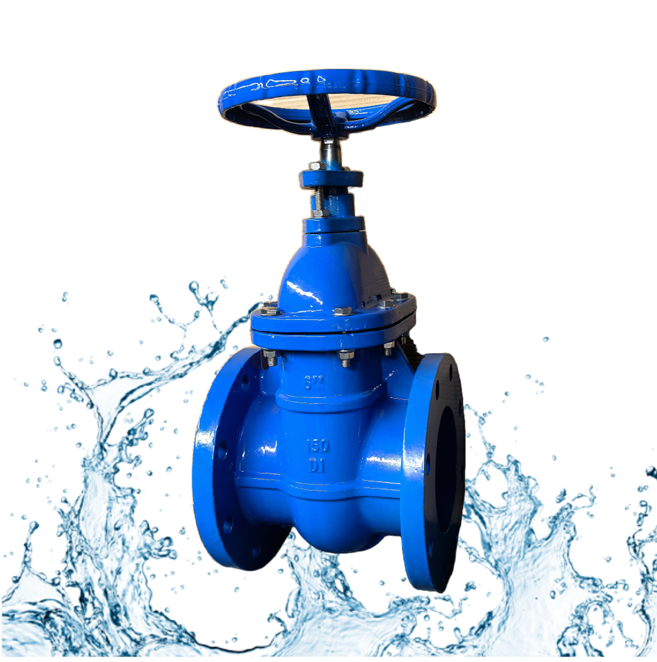 Gate Valve Cast Iron NRS Resilient Seated Soft Seal Class 150 Flange ...