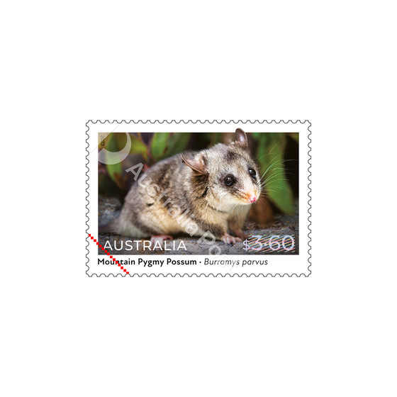 $3.6 Australian Postage Mailing Stamps Stickers Vintage Post Mail Stamp ...