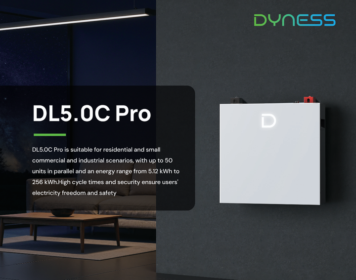 Dyness DL5.0C Pro 5KWH 51.2V 100AH Lithium Ion Battery Pack Space ...