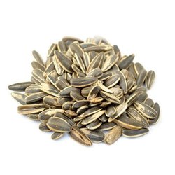 How to Choose the Best Nectar Flower Seeds for Your Garden