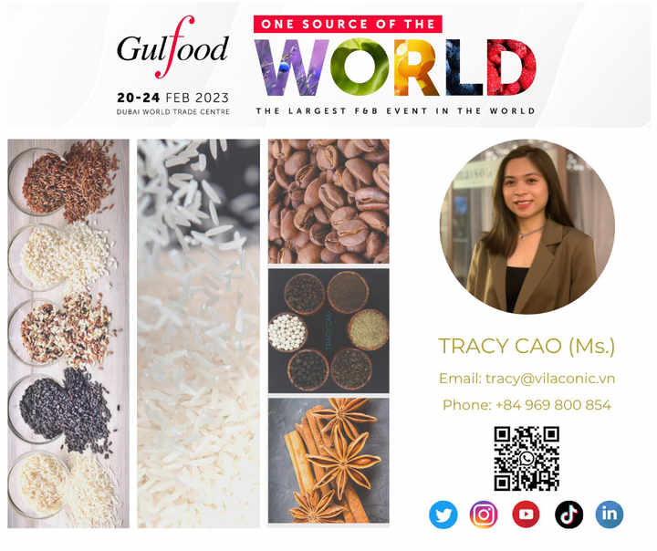 Cashew Nuts - High Quality AFI Standard TRACY CAO +84 969800 854