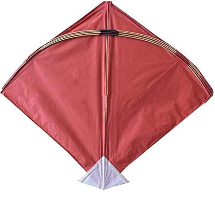 Indian Paper Kites - Traditional Flying Toys for All Ages
