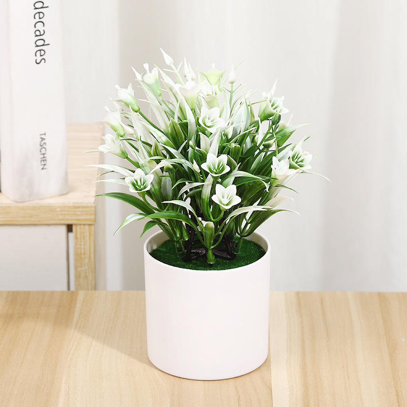 How to Choose Chinese Toon Plants: Buying Guide for Quality Selection