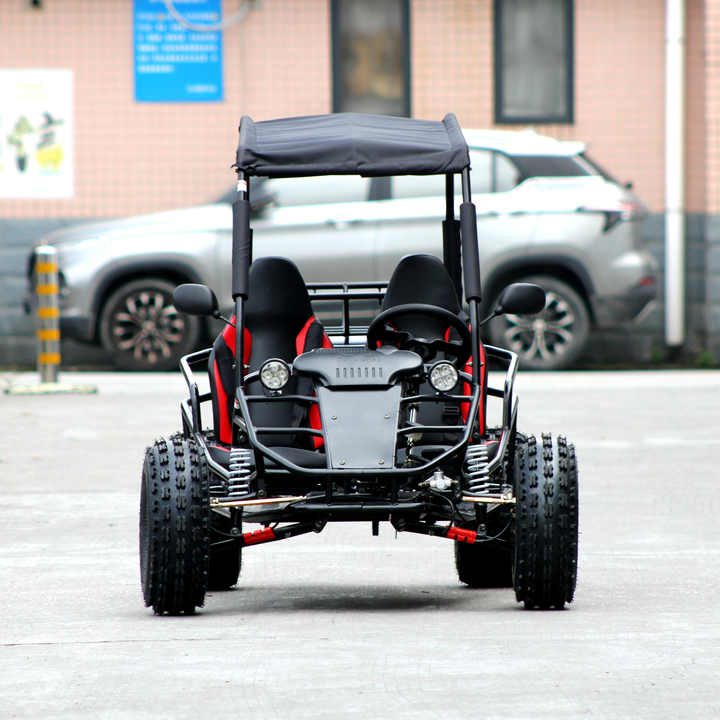 110cc Oil-Cooled Two-Seater Four-Wheel Gasoline off-Road Go Kart Buggy ...