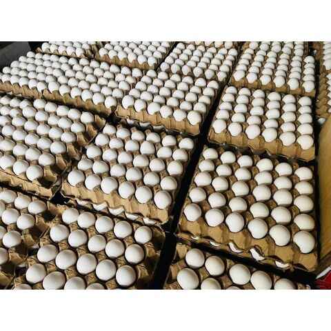 Fresh Chicken Table Eggs - Brown and White Shell Eggs