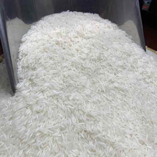 Jasmine Rice Riz Perfume Au Jasmin for Wholesale 5kg-20kg