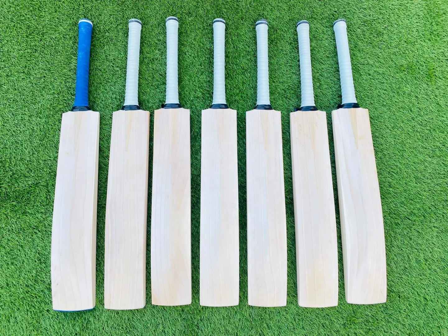 How to Choose the Best Cricket Bat English Willow Player Edition CA