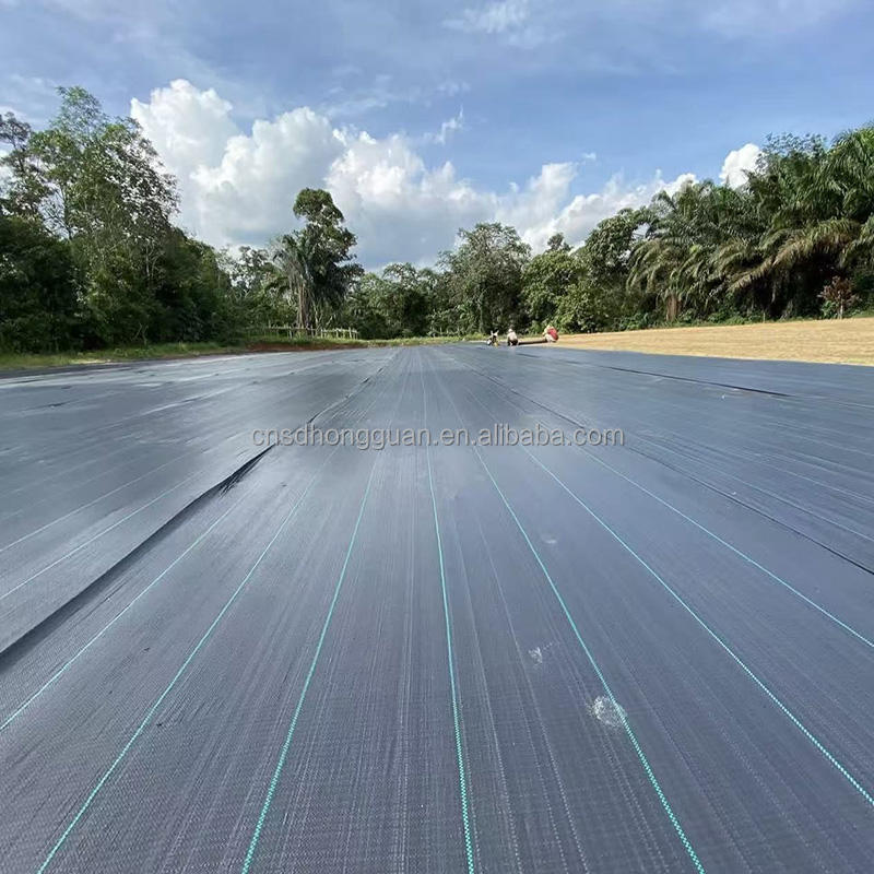 Heavy-Duty Agricultural Plastic Products Weed Barrier Control Fabric ...
