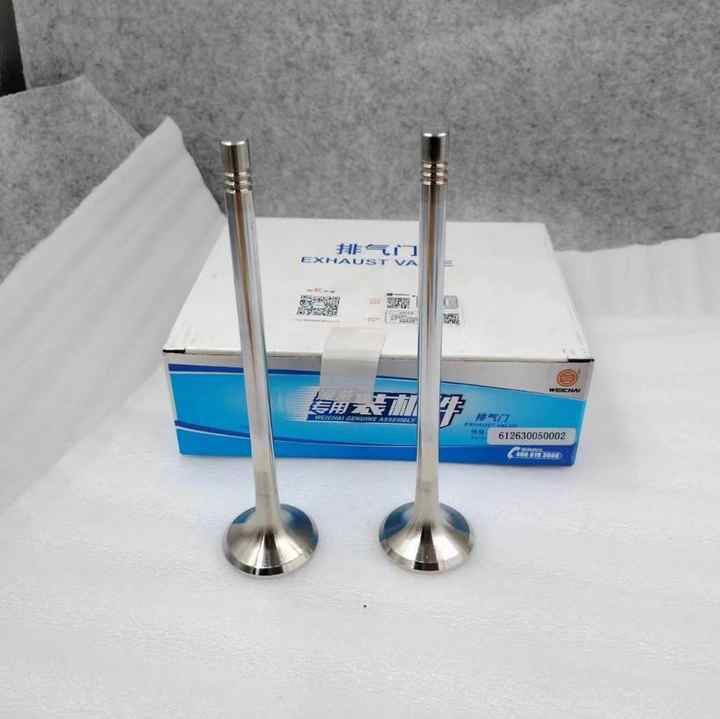 612630050002 4110001050034 Exhaust Valve for Sinotruk Shacman LGMG ...