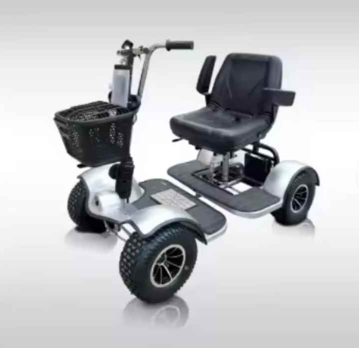 Authentic Model Electric Single-Seater Golf Buggy with Lithium Battery ...