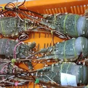 how to cook frozen slipper lobster