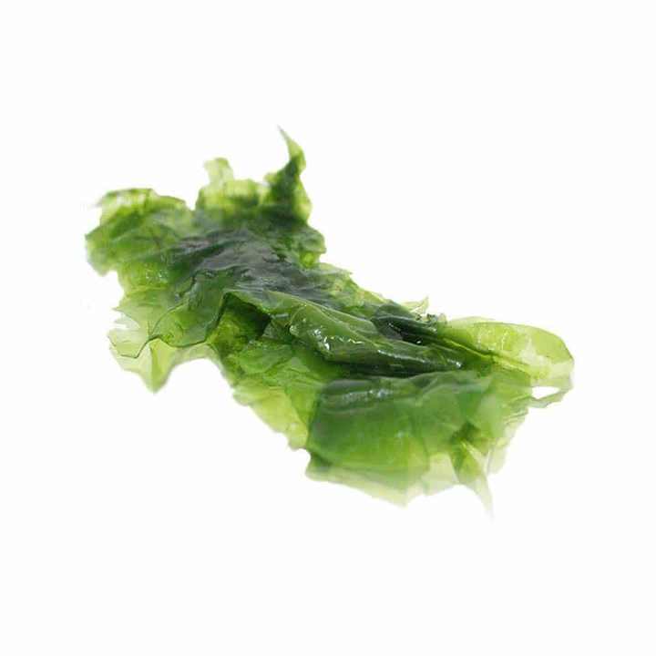 ULVA Lactuca Dried Green Sea Moss Powder - Wholesale Available