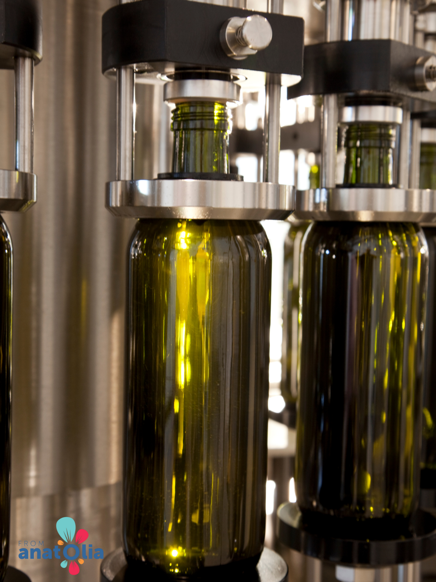 How to Choose the Best Extra Virgin Olive Oil from Turkey