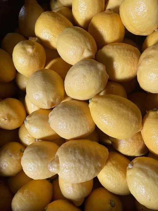 Fresh Seedless Lemon Lime High Quality Wholesales Natural Origin Good ...