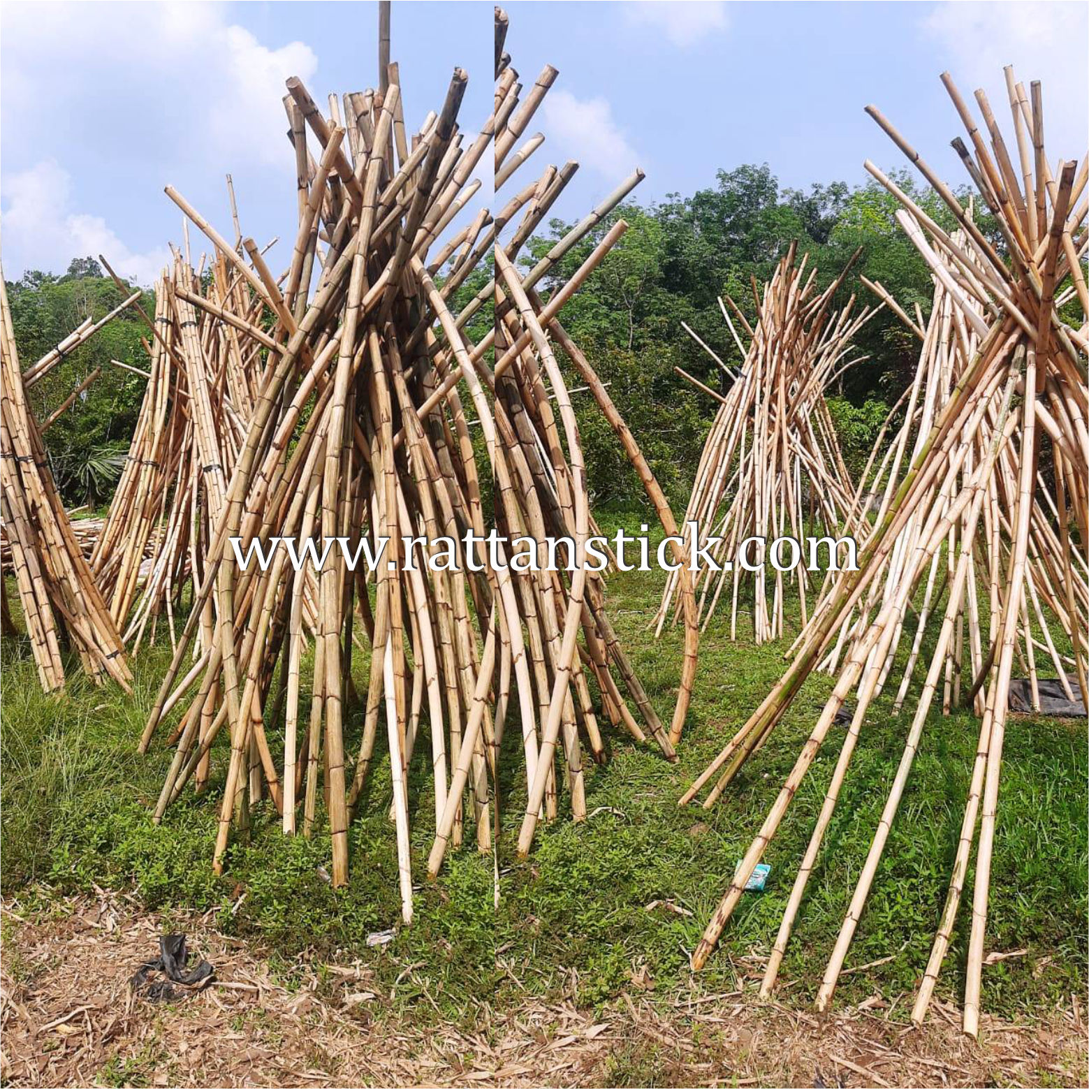 How to Choose the Best Polo Mallet: A Complete Buying Guide