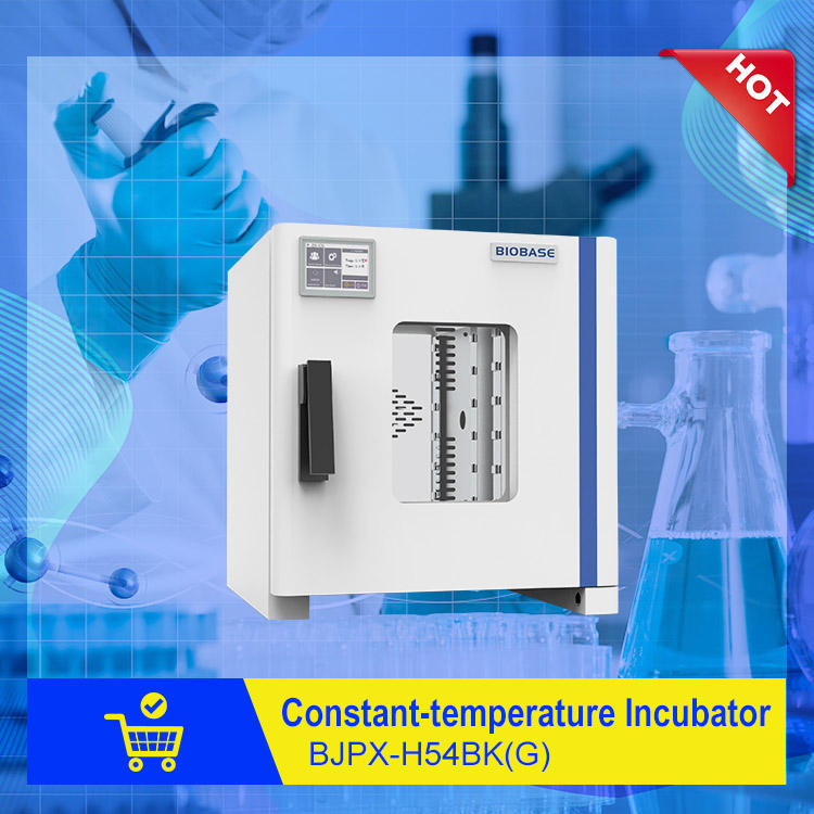 BIOBASE 2026 March Expo Laboratory Incubator BIOBASE BJPX-H54BK(G) with ...