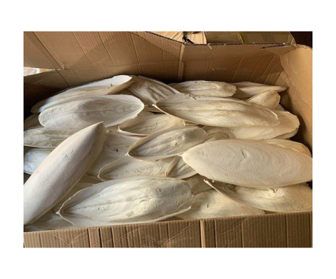 High Quality Dry Cuttlefish Bone Cuttlebone 100% DRIED WASHED CUTTLE ...