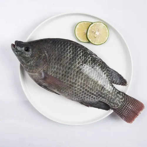 High Quality Dried Tilapia Fish Scale Raw Material for Collagen Extract ...