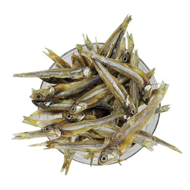 Fast Delivery Dried Anchovy Fish - Perfect for Sauces & Snacks