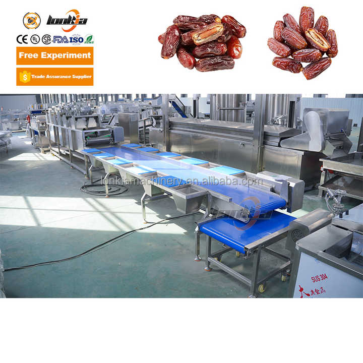 Stainless Steel Date Palm Fresh Fruit Washing and Drying Pitting Production Line Date Palm ...