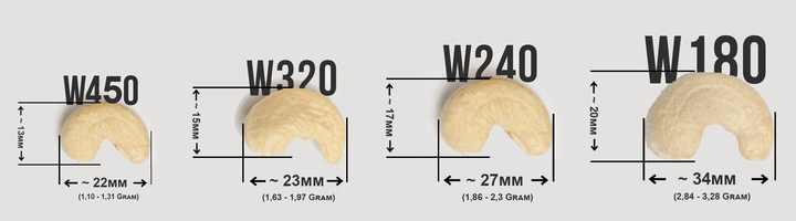 AFI Standard W450 Cashew Nut Vietnam White Cashews Exporter