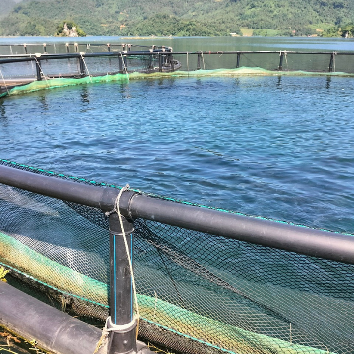 Tilapia Fish Farming Equipment Aquaculture Net Cage Floating Cage From ...