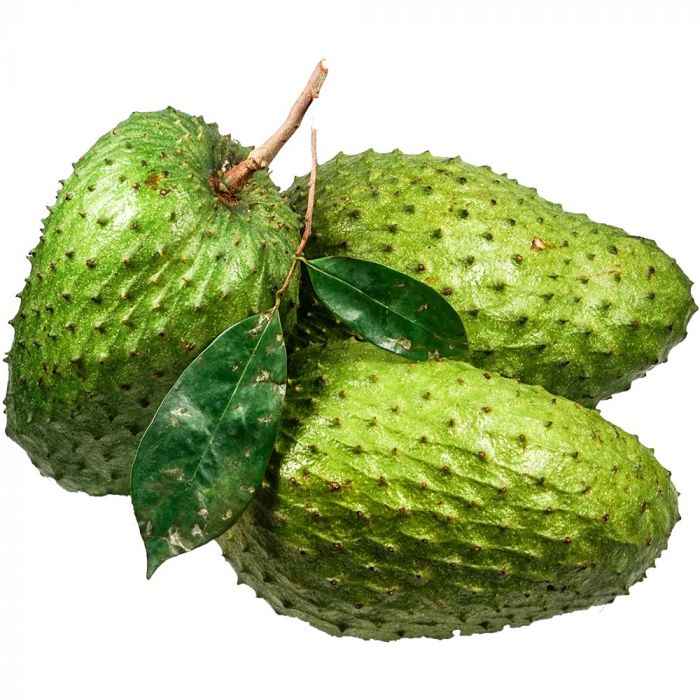 Vietnam Frozen Tropical Fruit - Graviola Soursop Fruit