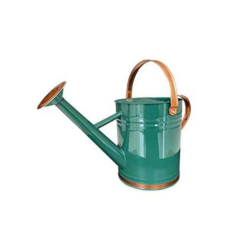 High Standard Quality Metal Water Cane for Use Water Pots to Gardening ...