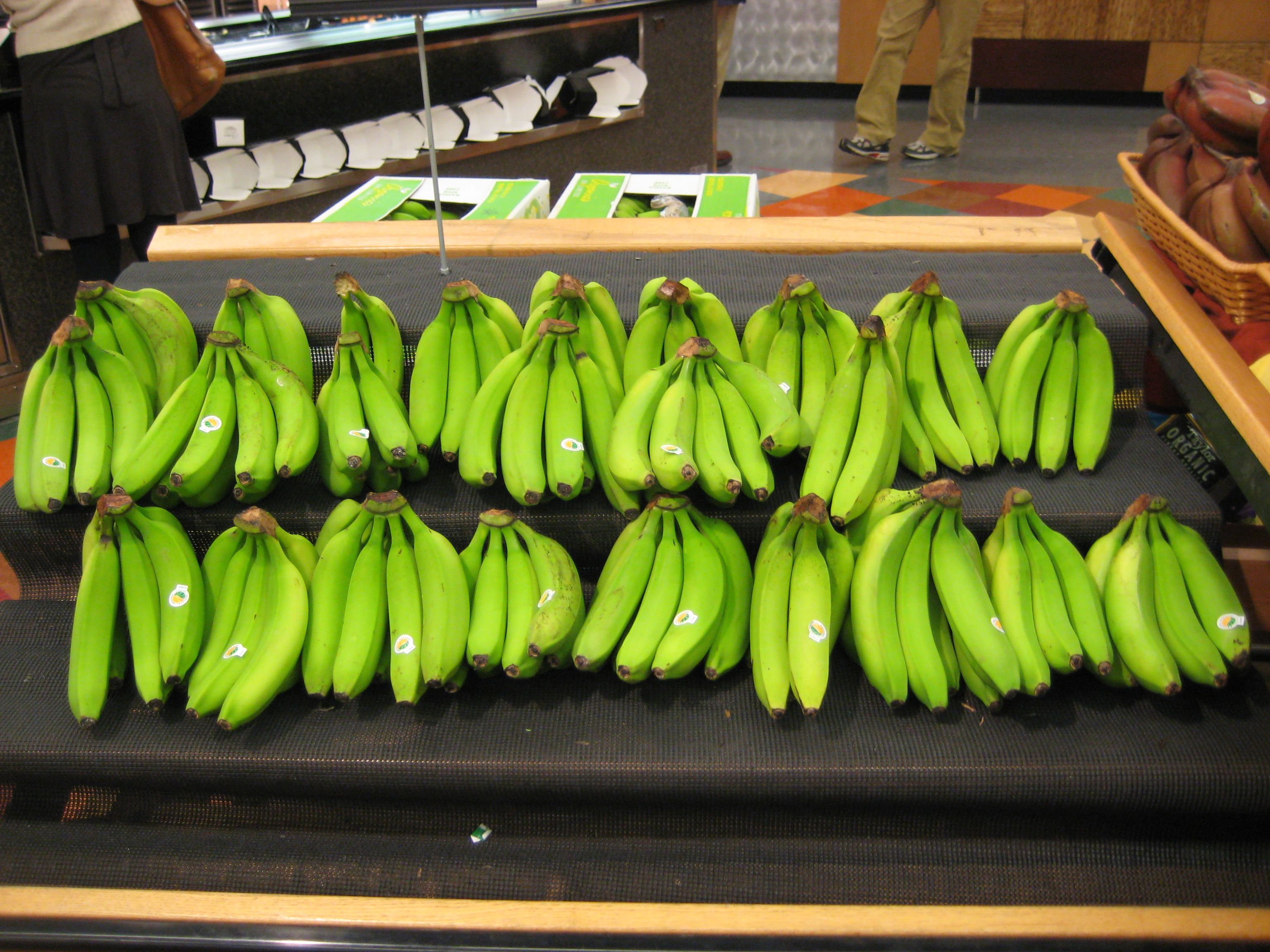 Premium Quality green bananas buy for Wholesale Buyers - Fresh and ...