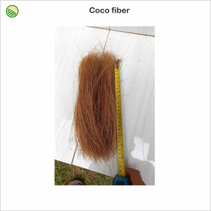 Indonesia Coconut Fiber Price | Premium Natural Coir from OEM