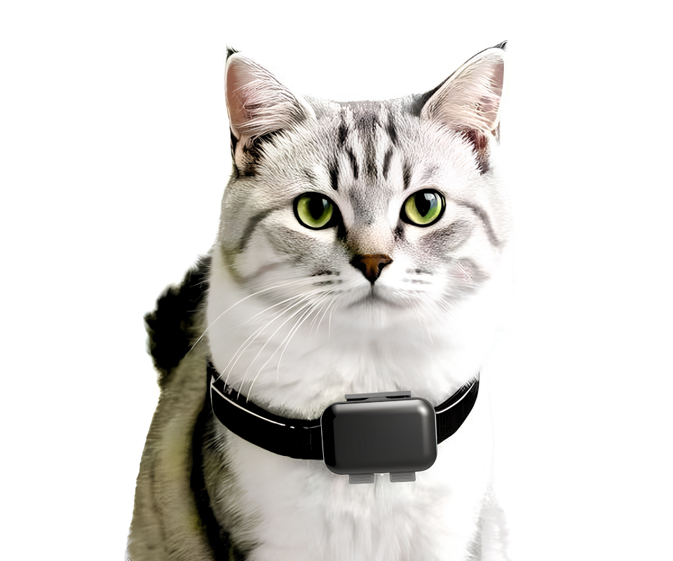 Smart Device Pets Tracker - Comfortable & Waterproof Collar