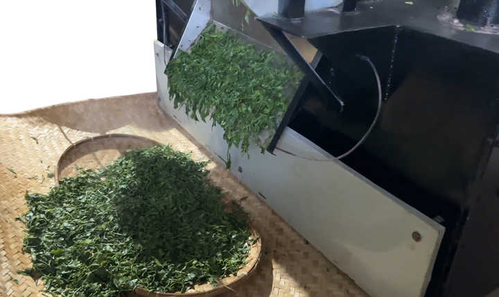 Steam Vapour Generator Machine for Tea Food Processing Machinery with ...