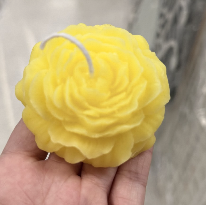 candle flower| Alibaba.com