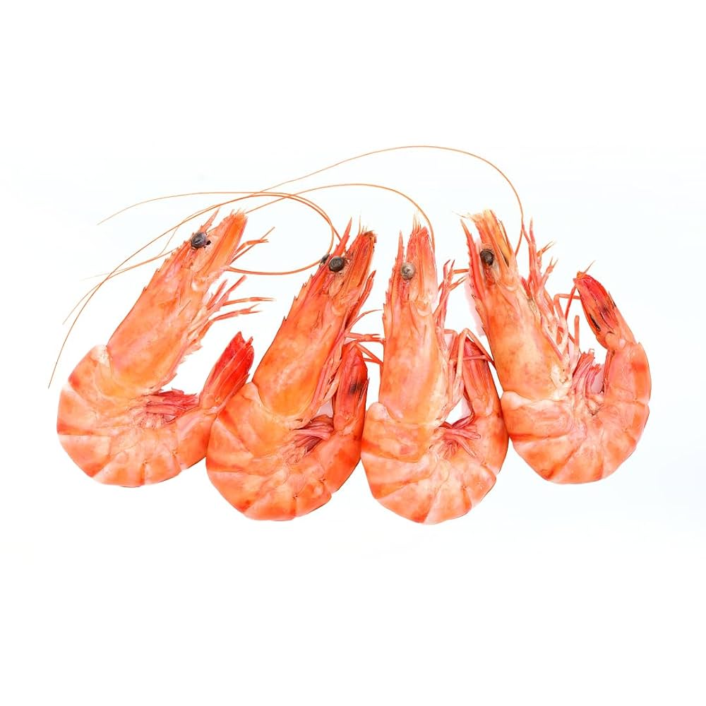Buy Royal Red Shrimp for Sale Premium Frozen | OEM ODM Services