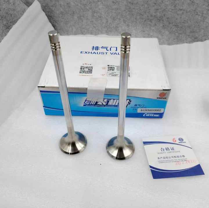 612630050002 4110001050034 Exhaust Valve for Sinotruk Shacman LGMG ...