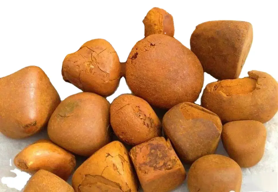 Cattle Gallstones Export Price - High Quality & Reliable