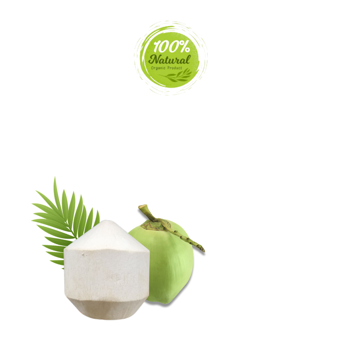 World Diamond Coconut Journey Premium Agriculture Direct From Ben Tre ...