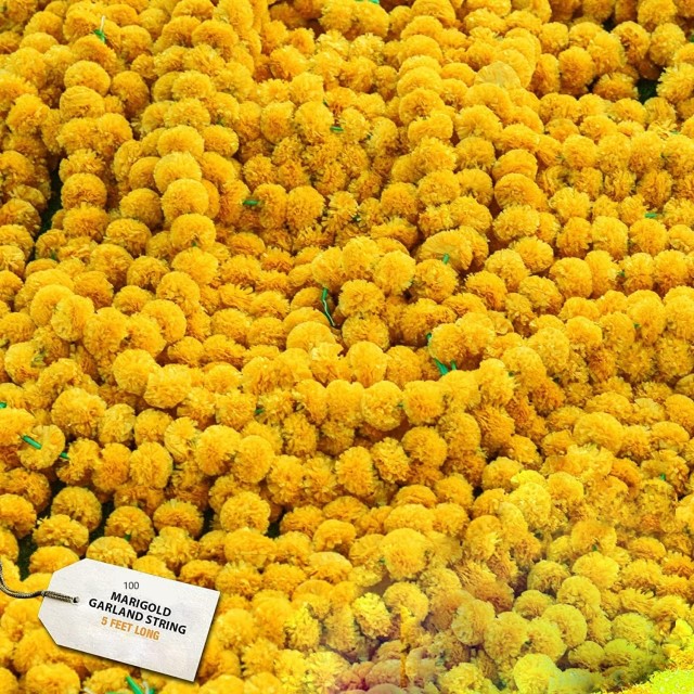 Sen Masine Yellow Garland - Lifelike Artificial Vines