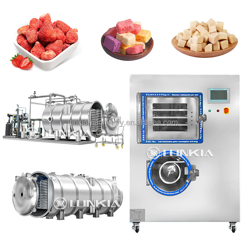 Industrial Vacuum Freeze Drying Machine for Food Preservation